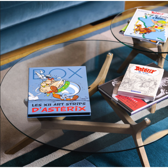 Box - Die 12 Art Strips von Asterix - Asterix Art Strips