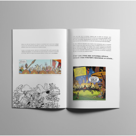 Box - Die 12 Art Strips von Asterix - Asterix Art Strips